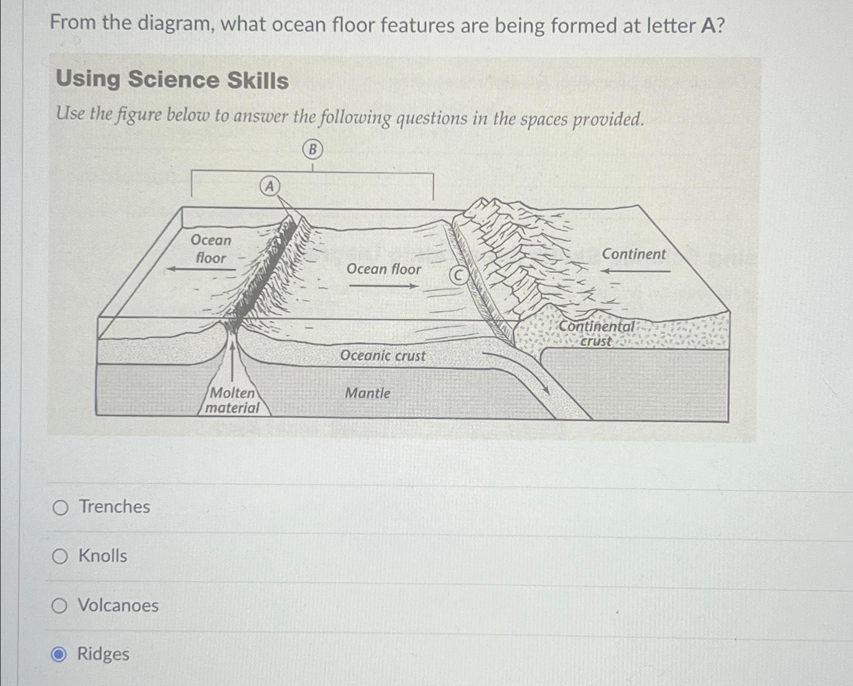 Solved From the diagram, what ocean floor features are being | Chegg.com