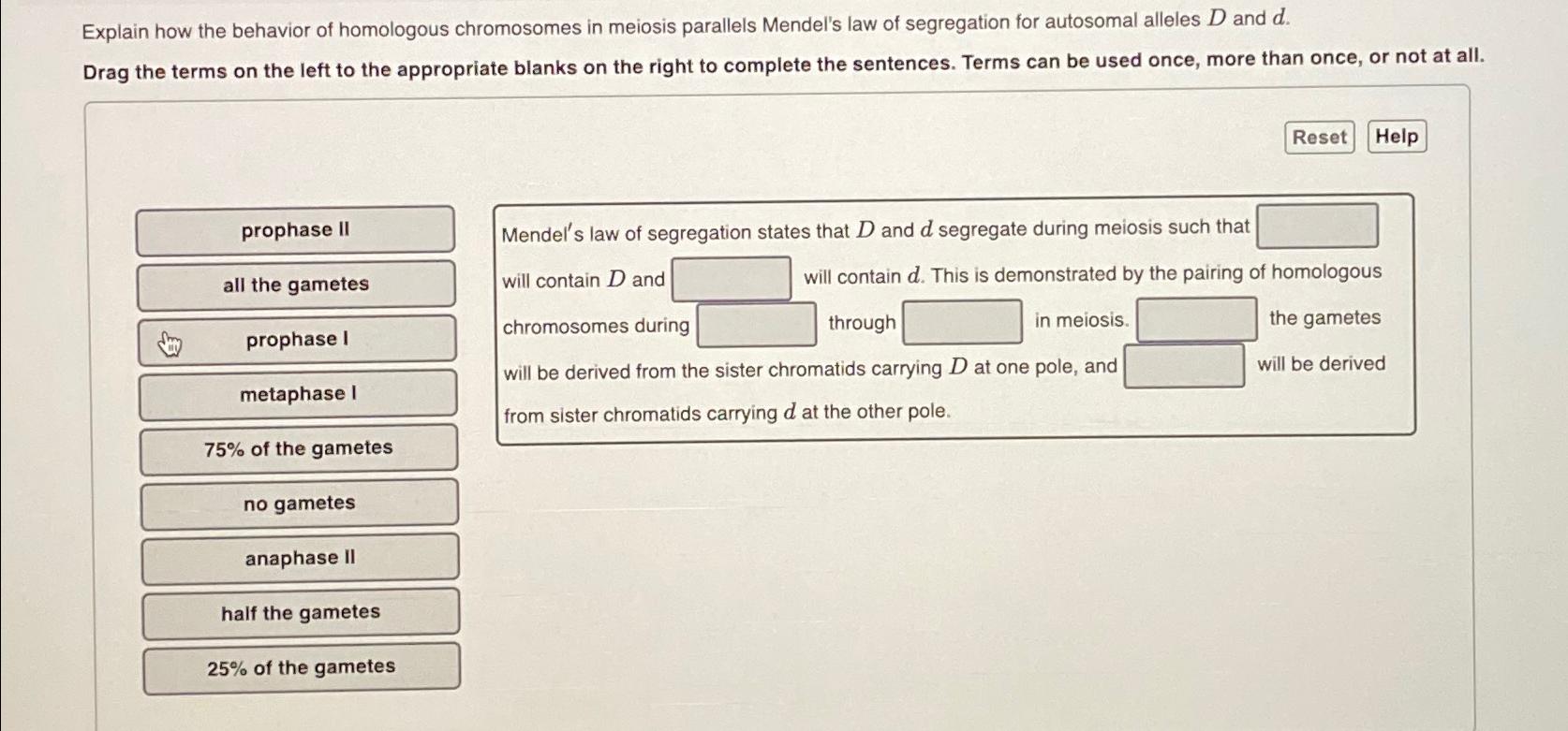 Solved Explain how the behavior of homologous chromosomes in | Chegg.com