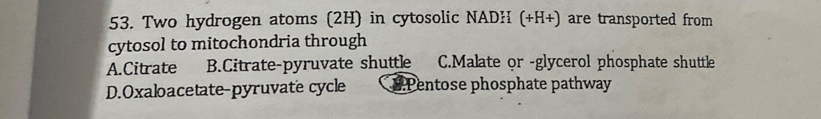 Solved Two hydrogen atoms (2H) ﻿in cytosolic NADII (+H+) | Chegg.com
