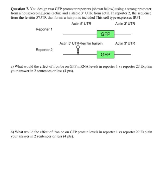 Solved Question 7. You design two GFP promoter reporters | Chegg.com