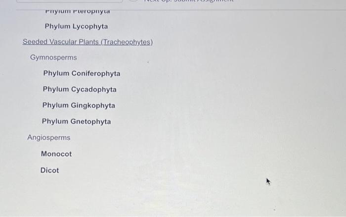 Solved Use the following to create a dichotomous key to | Chegg.com