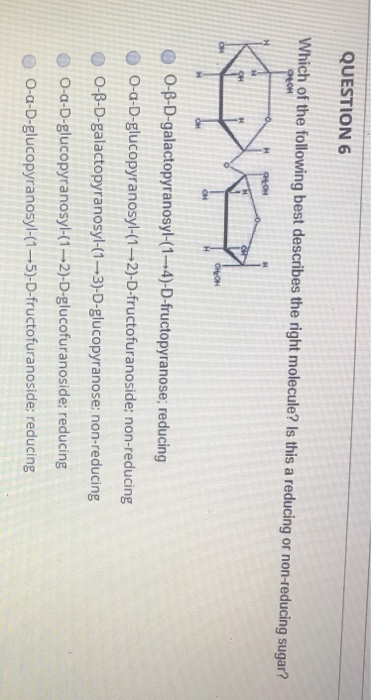 Solved Glycolysis and formentation are important in wine | Chegg.com