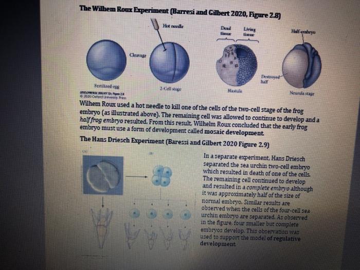 Solved The Wilhem Roux Experiment (Barresi and Gilbert 2020, | Chegg.com
