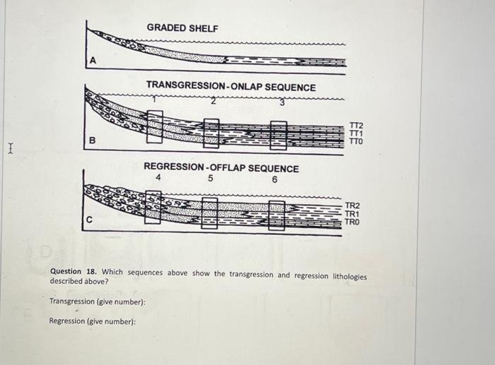 Solved Question 18. Which sequences above show the | Chegg.com