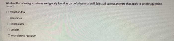 Solved Which of the following statements correctly describe | Chegg.com