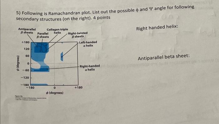 Solved 5) Following is Ramachandran plot. List out the | Chegg.com