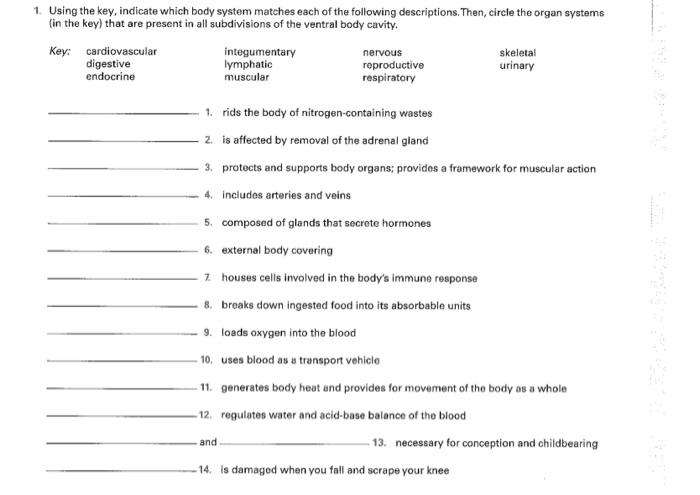 Solved 1. Using the key, indicate which body system matches | Chegg.com Solved 1. Using the key, indicate which body system matches | Chegg.com