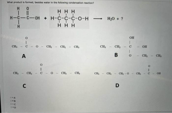 Solved Identify the circled functional groups (A,B and C) in | Chegg.com