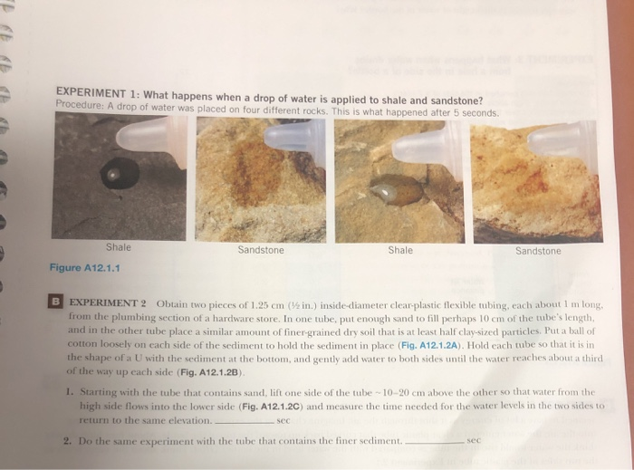 Solved EXPERIMENT 1: What happens when a drop of water is | Chegg.com
