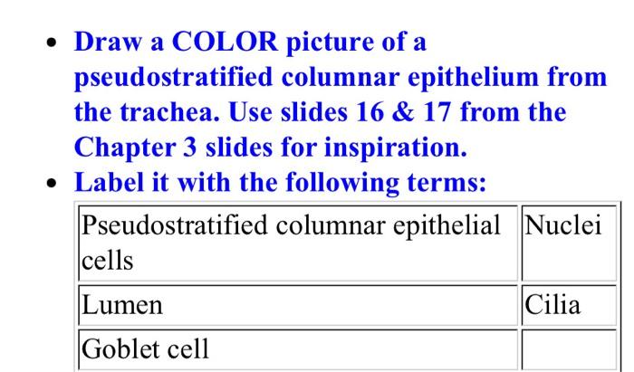 Solved • Draw a COLOR picture of a simple columnar | Chegg.com
