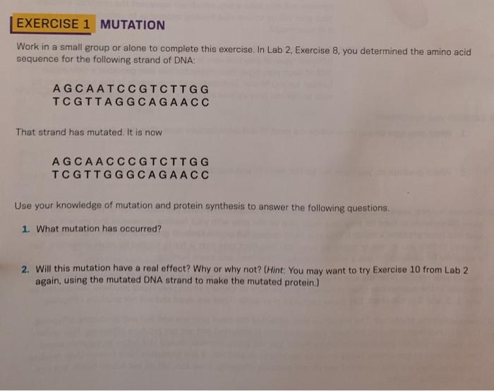 Solved EXERCISE 1 MUTATION Work in a small group or alone to | Chegg.com