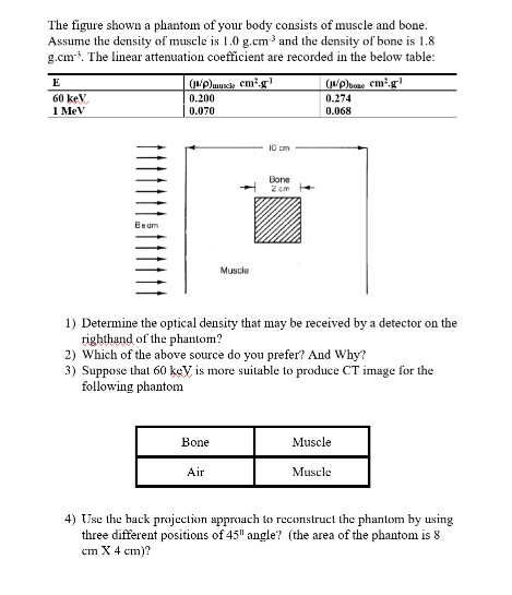 Solved The figure shown a phantom of your body consists of | Chegg.com