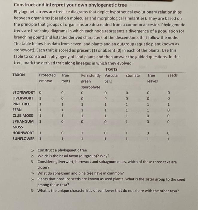 Construct and interpret your own phylogenetic tree | Chegg.com