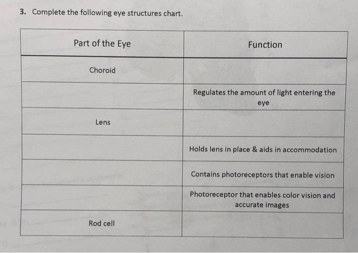 Solved 3. Complete the following eye structures chart. Part | Chegg.com