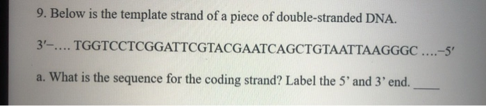 Solved 9. Below is the template strand of a piece of | Chegg.com