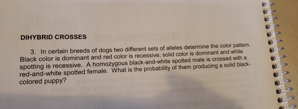 Solved DIHYBRID CROSSES MAA 3. In certain breeds of dogs two | Chegg.com