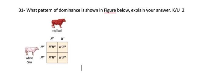 Solved 31- What pattern of dominance is shown in Figure | Chegg.com