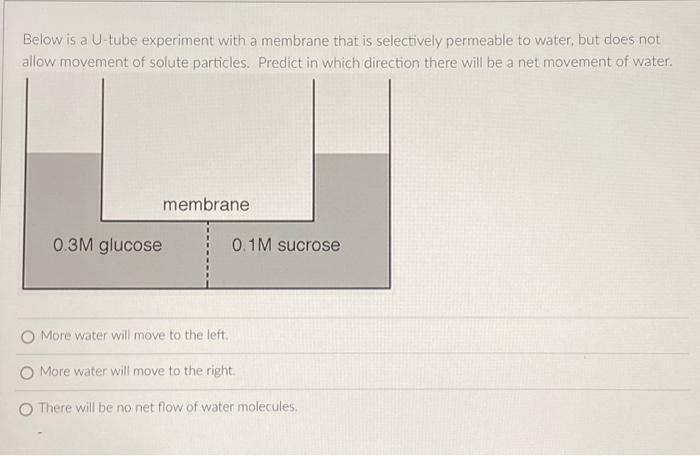 Below is a U-tube experiment with a membrane that is | Chegg.com