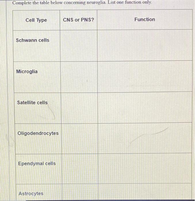 Solved Complete the table below concerning neuroglia. List | Chegg.com