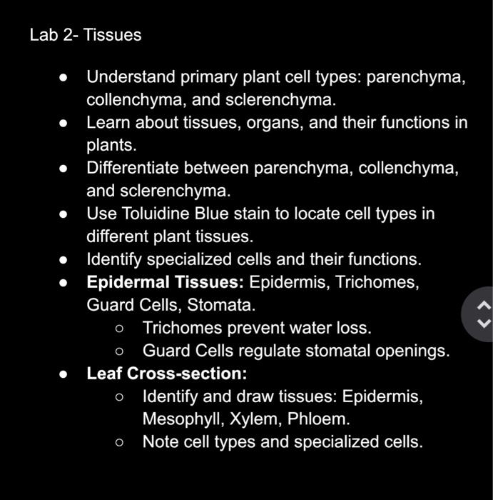 Solved Lab 4 - shoots - Anatomy of a Shoot and | Chegg.com