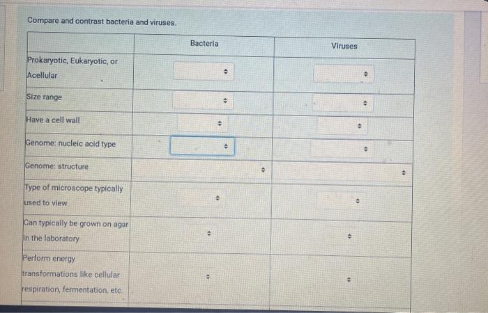Compare and contrast bacteria and viruses. | Chegg.com