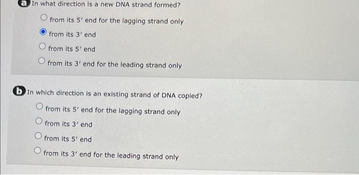 Solved a In what direction is a new DNA strand formed? from | Chegg.com