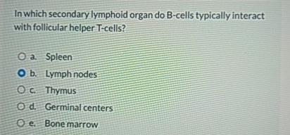 Solved In which secondary lymphoid organ do B-cells | Chegg.com