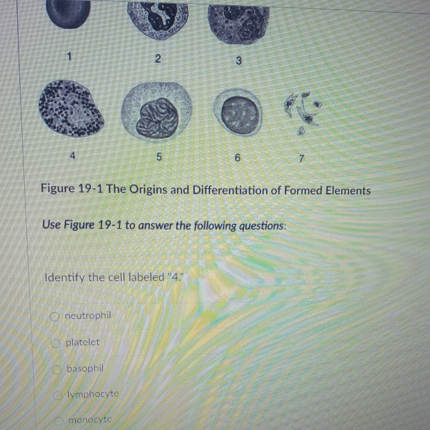 Solved 1 2. 3 5 6 7 Figure 19-1 The Origins and | Chegg.com