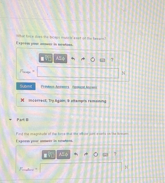 Solved A74.0 kg weight lifter is doing arm raises using a | Chegg.com