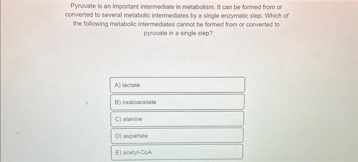 Solved Pyruvate is an important intermediate in metabolism, | Chegg.com