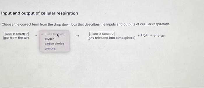 Solved Input And Output Of Cellular Respiration Choose T 4201