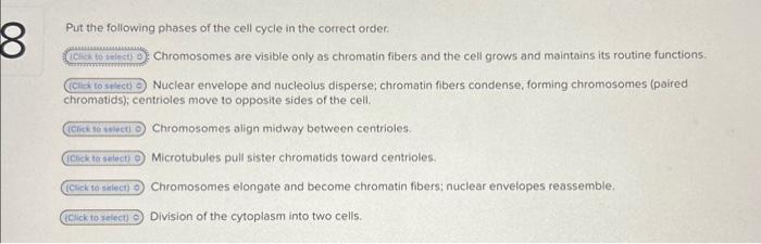 Solved Put the following phases of the cell cycle in the | Chegg.com
