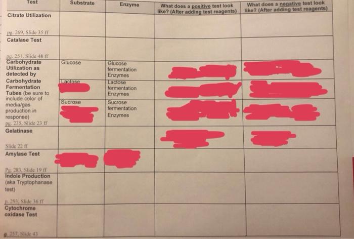 Solved only need help with the blank boxes. | Chegg.com