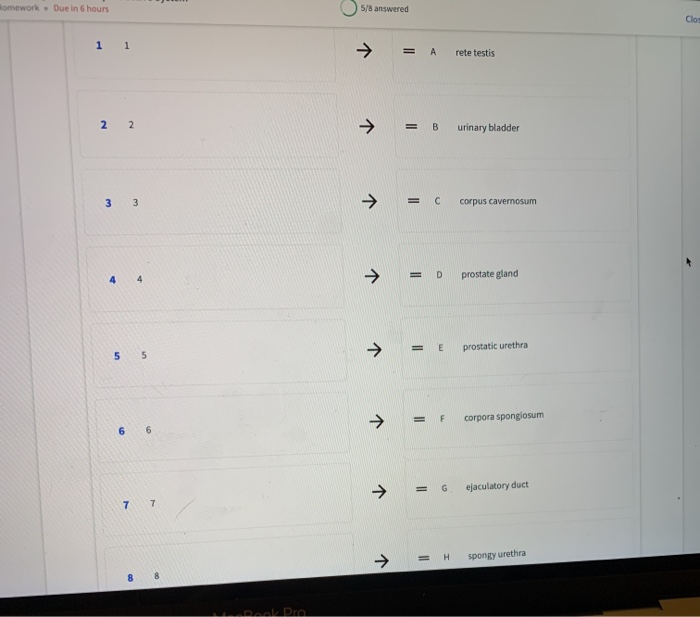 Solved Homework. Unanswered Match the term to the indicated | Chegg.com