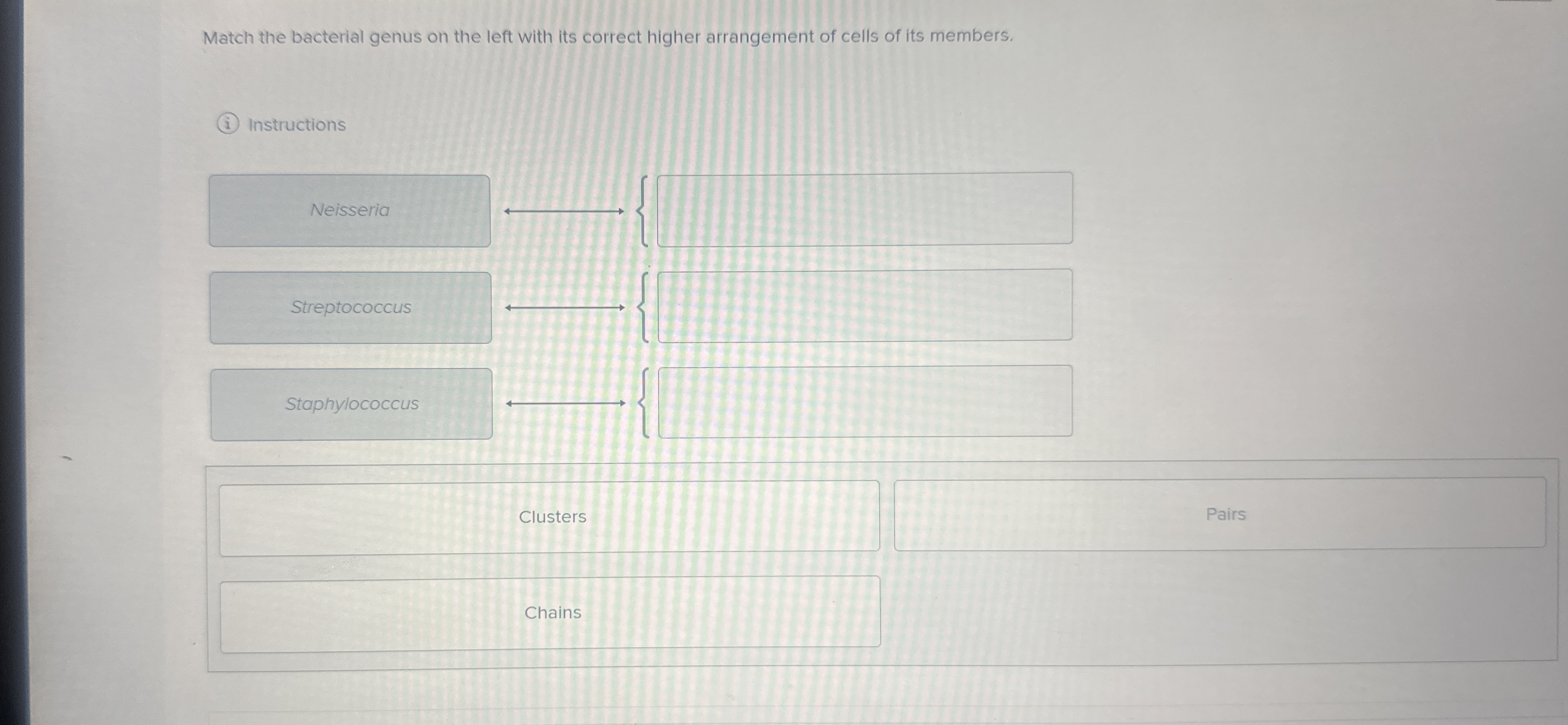 Solved Match the bacterial genus on the left with its | Chegg.com