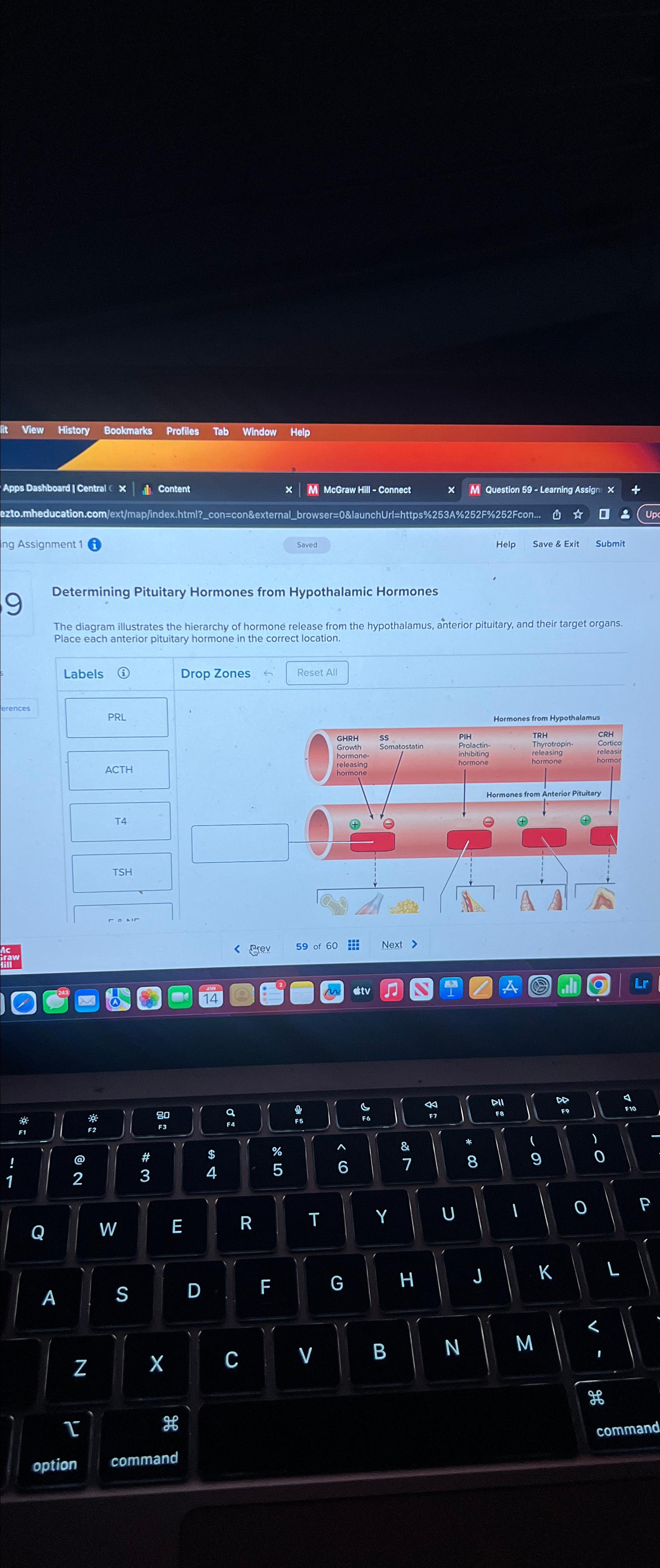 Solved 9Determining Pituitary Hormones from Hypothalamic | Chegg.com