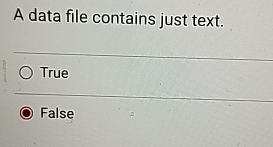 Solved A data file contains just text.q, ﻿True ﻿False | Chegg.com