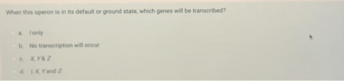 Solved Questions 1-4 relate to the following information: | Chegg.com