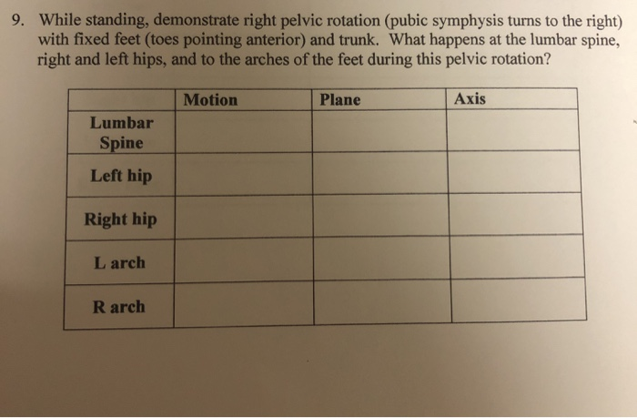 Solved 9. While standing, demonstrate right pelvic rotation | Chegg.com
