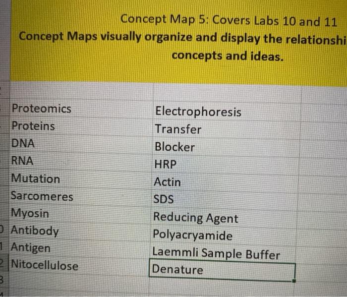 Solved Concept Map 5: Covers Labs 10 and 11 Concept Maps | Chegg.com