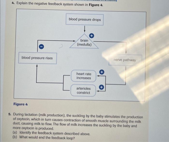 [Solved]: 4. Explain the negative feedback system shown in