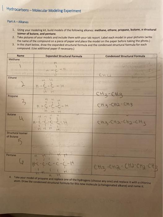 Solved Hydrocarbons – Molecular Modeling Experiment Part A | Chegg.com