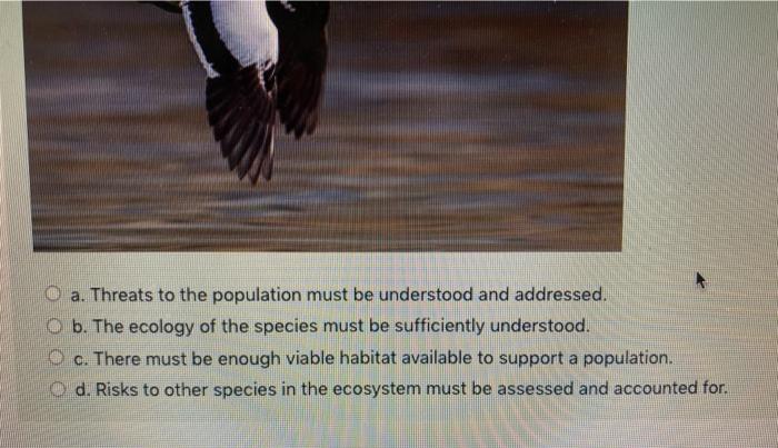 Solved The stellar eider is a sea duck that breeds in the | Chegg.com