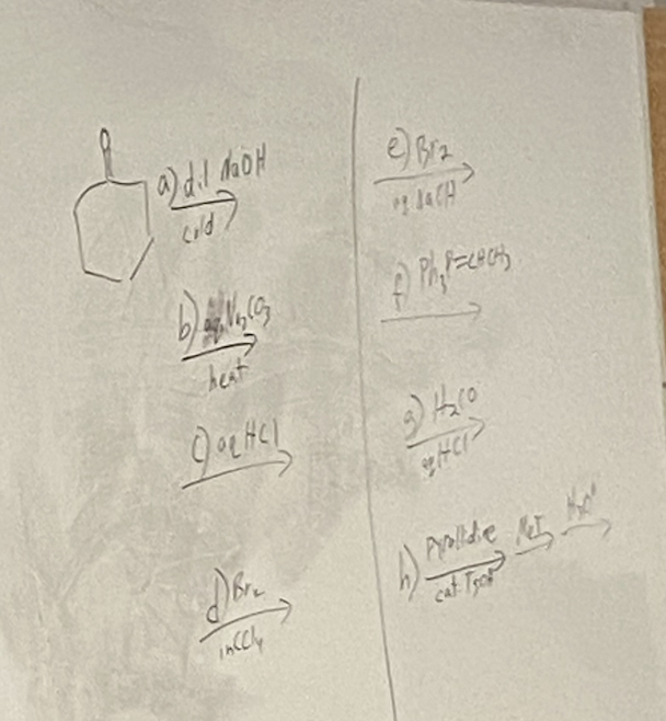 Solved →?c.B(h)eB??2→?beatbsqrt(lig3)CO3h) politide cation | Chegg.com