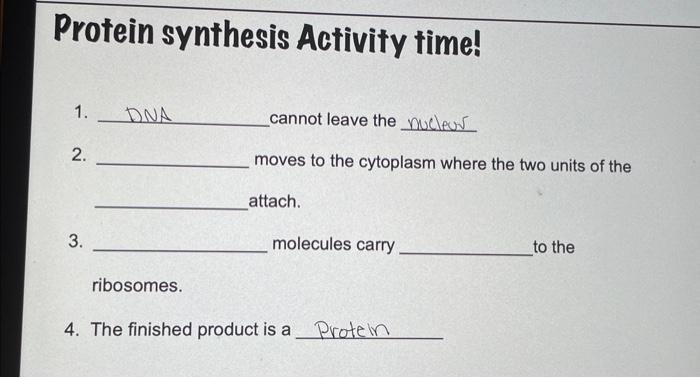 Protein synthesis Activity time! 1. DNA cannot leave | Chegg.com