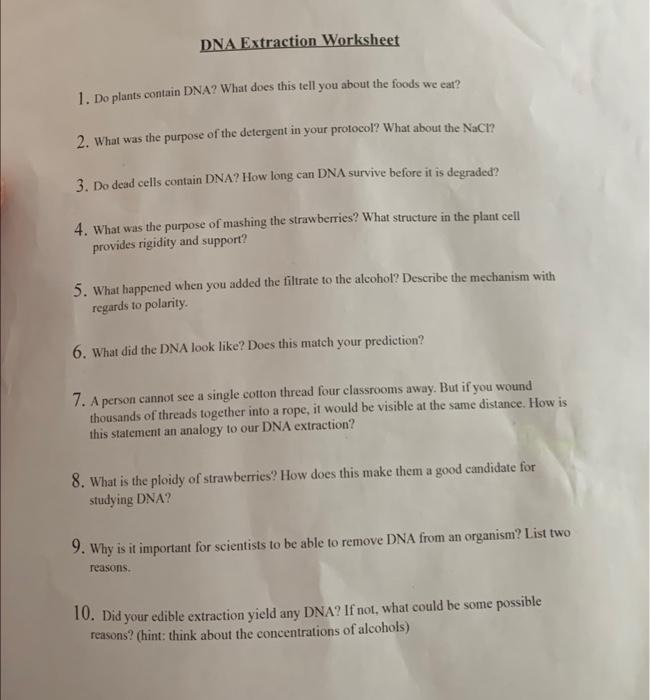Solved DNA Extraction Worksheet 1. Do plants contain DNA? | Chegg.com
