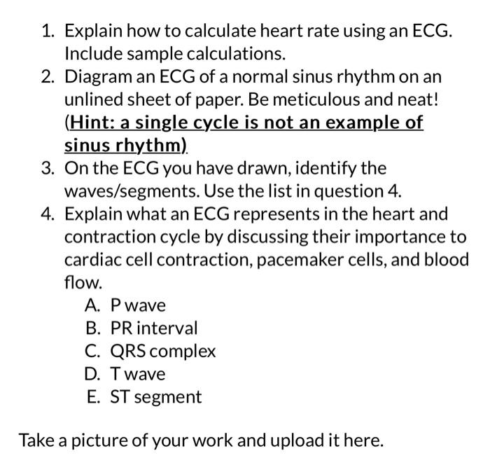 Solved 1. Explain how to calculate heart rate using an ECG. | Chegg.com