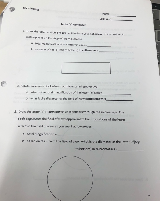 Microbiology Name: Lab Hour: Letter 'e' Worksheet 1. | Chegg.com