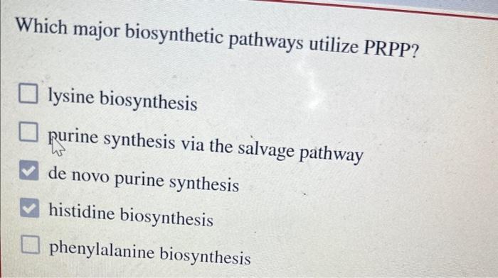 Solved Which major biosynthetic pathways utilize PRPP? | Chegg.com