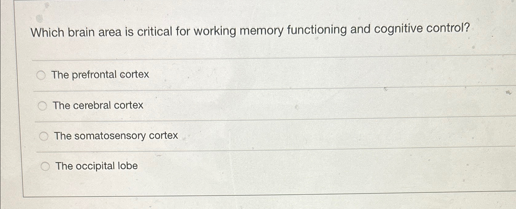 Solved Which brain area is critical for working memory | Chegg.com